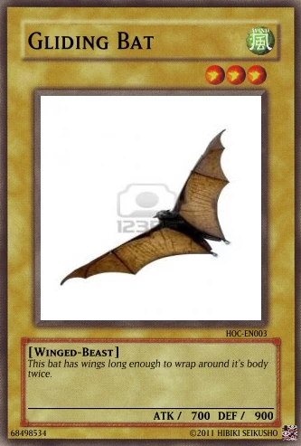Gliding Bat | Hoodup Wiki | Fandom