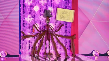 Newt Age | HoP Drag Race Wiki | Fandom