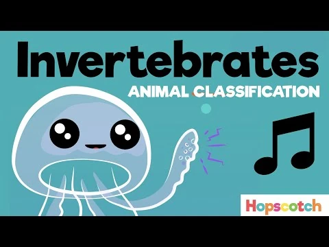 Animal Classification: The Invertebrates Song | Hopscotch Songs Wiki ...