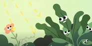 The Photosynthesis Song | Hopscotch Songs Wiki | Fandom
