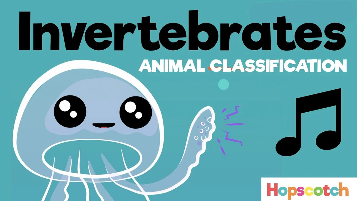 Animal Classification: The Invertebrates Song | Hopscotch Songs Wiki ...