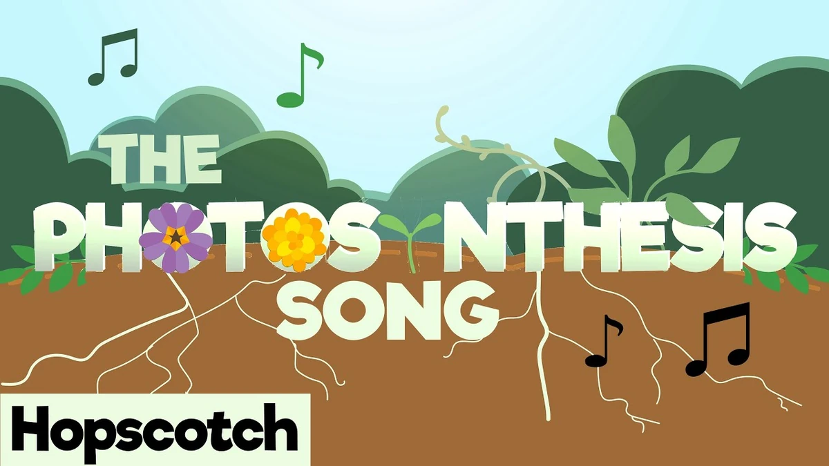The Photosynthesis Song | Hopscotch Songs Wiki | Fandom