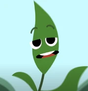The Photosynthesis Song | Hopscotch Songs Wiki | Fandom