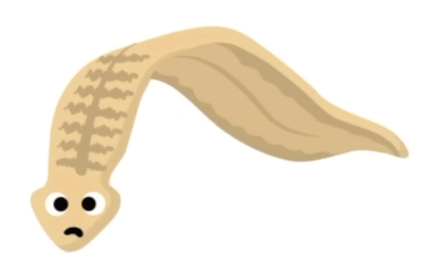 Planarian | Hopscotch Songs Wiki | Fandom