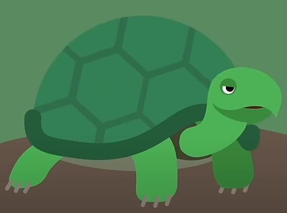 Turtle | Hopscotch Songs Wiki | Fandom