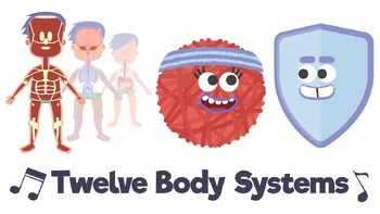 Twelve Body Systems Song | Hopscotch Songs Wiki | Fandom