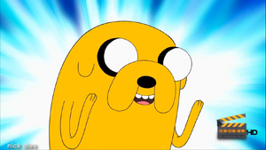 Jake | Hora de Aventura Wiki | Fandom