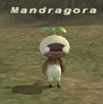 Mandragora | HorizonXI Wiki | Fandom