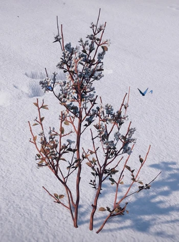 Winter Paleberry Shrub | Horizon Wiki | Fandom