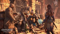 Erend Vanguardsman | Horizon Wiki | Fandom