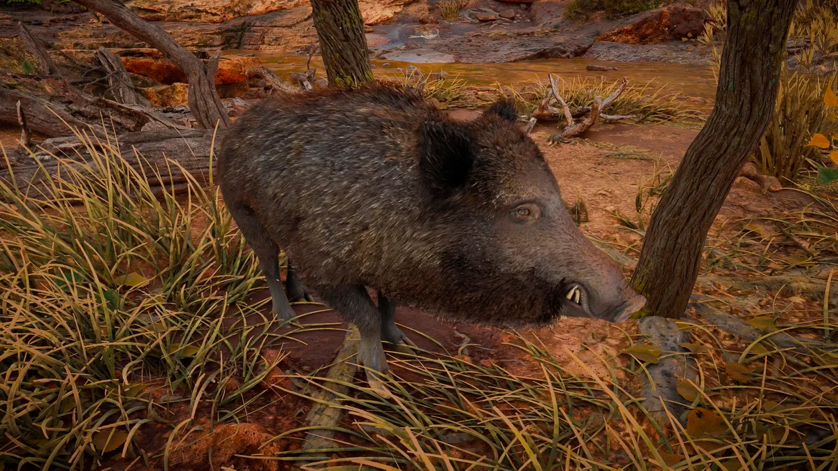 Wild Boar | Horizon Wiki | Fandom