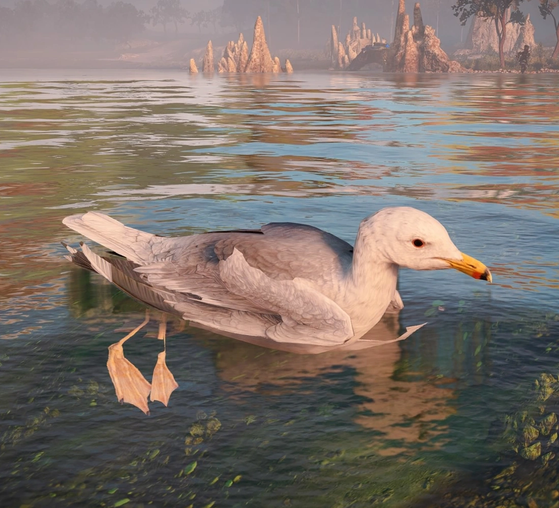 Gull | Horizon Wiki | Fandom