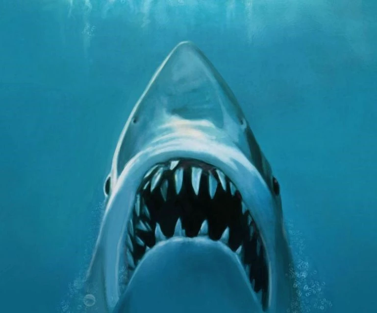 Jaws Shark | Horror Character Wiki | Fandom