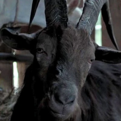 Black phillip | Horror killers Wiki | Fandom
