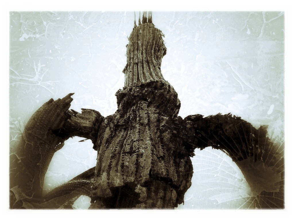 Cactoid | HorrorClix Wiki | Fandom