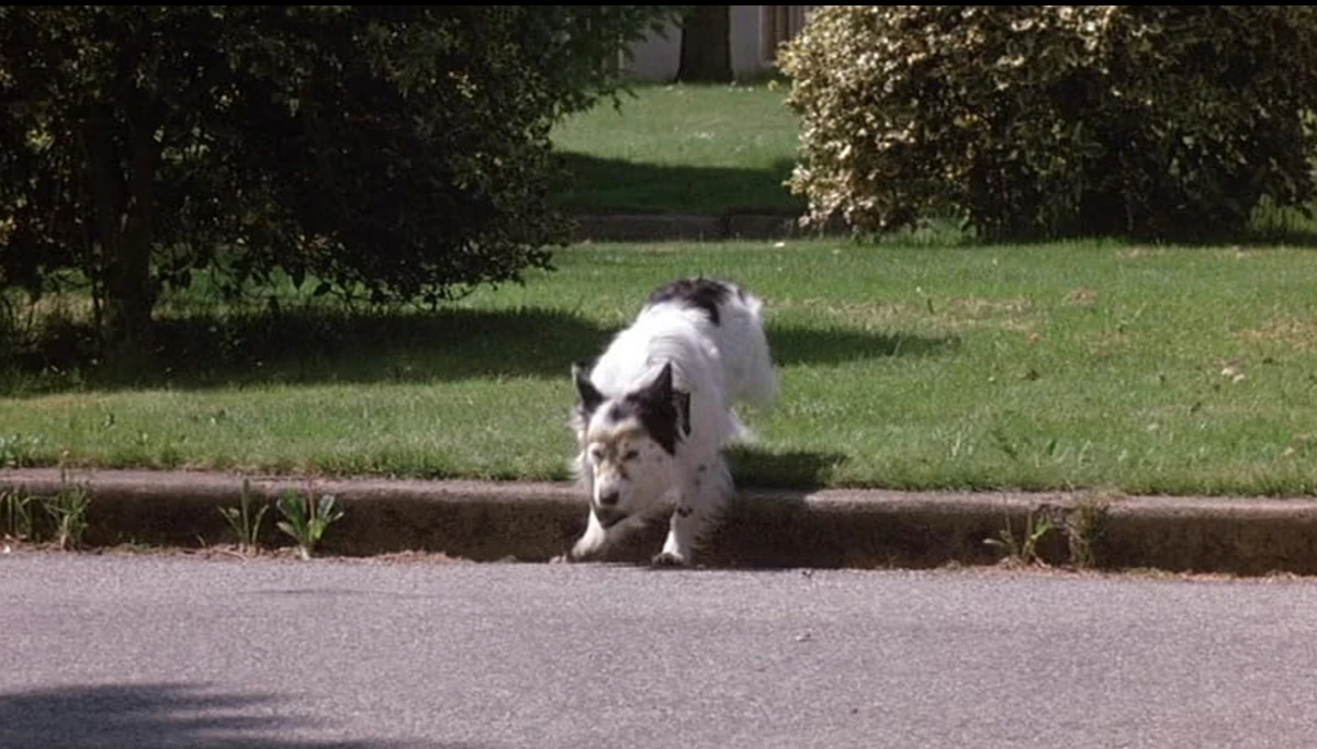 Jake | Horror Film Wiki | Fandom