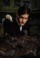 Willard (2003) | Horror Film Wiki | Fandom