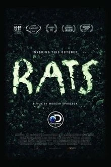 Rats (2016) | Horror Film Wiki | Fandom