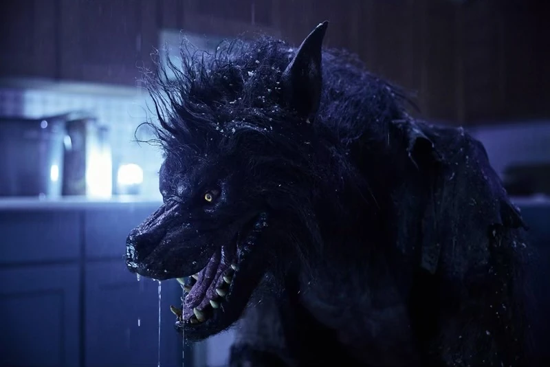 Werewolves | Horror Film Wiki | Fandom