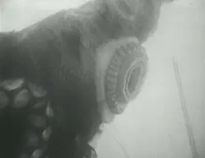 Giant Leeches | Horror Film Wiki | Fandom