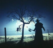 Creeper | Horror Film Wiki | Fandom