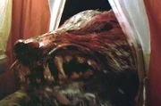 Howling III: The Marsupials (1987) | Horror Film Wiki | Fandom