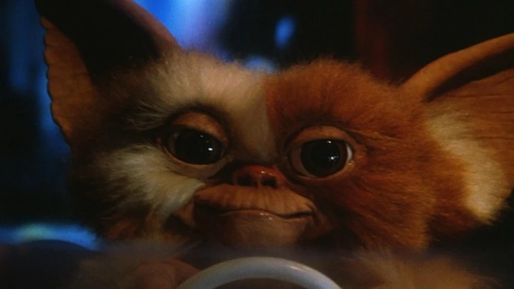 Gizmo | Horror Film Wiki | Fandom