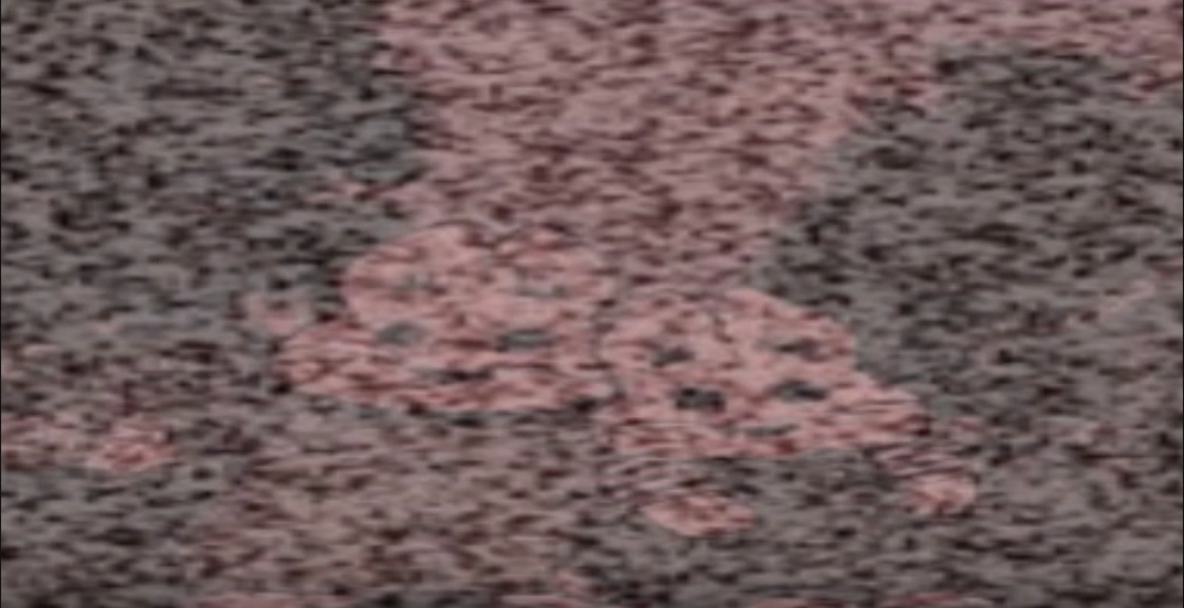 Max&Ruby dvd beta 97 | FlaminTales Wiki | Fandom