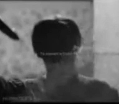 Norman Bates (Psycho Shampoo) | Horrorvillains Wiki | Fandom