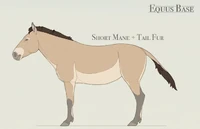 Equus | Horse Life Wiki | Fandom