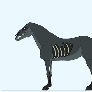 Discuss Everything About Horse Life Wiki | Fandom