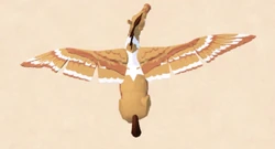 Wings | Horse Life Wiki | Fandom