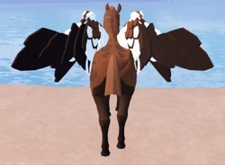 Wings | Horse Life Wiki | Fandom