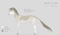 Cross-Breeding | Horse Life Wiki | Fandom