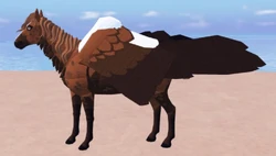 Wings | Horse Life Wiki | Fandom