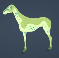 Flora | Horse Life Wiki | Fandom