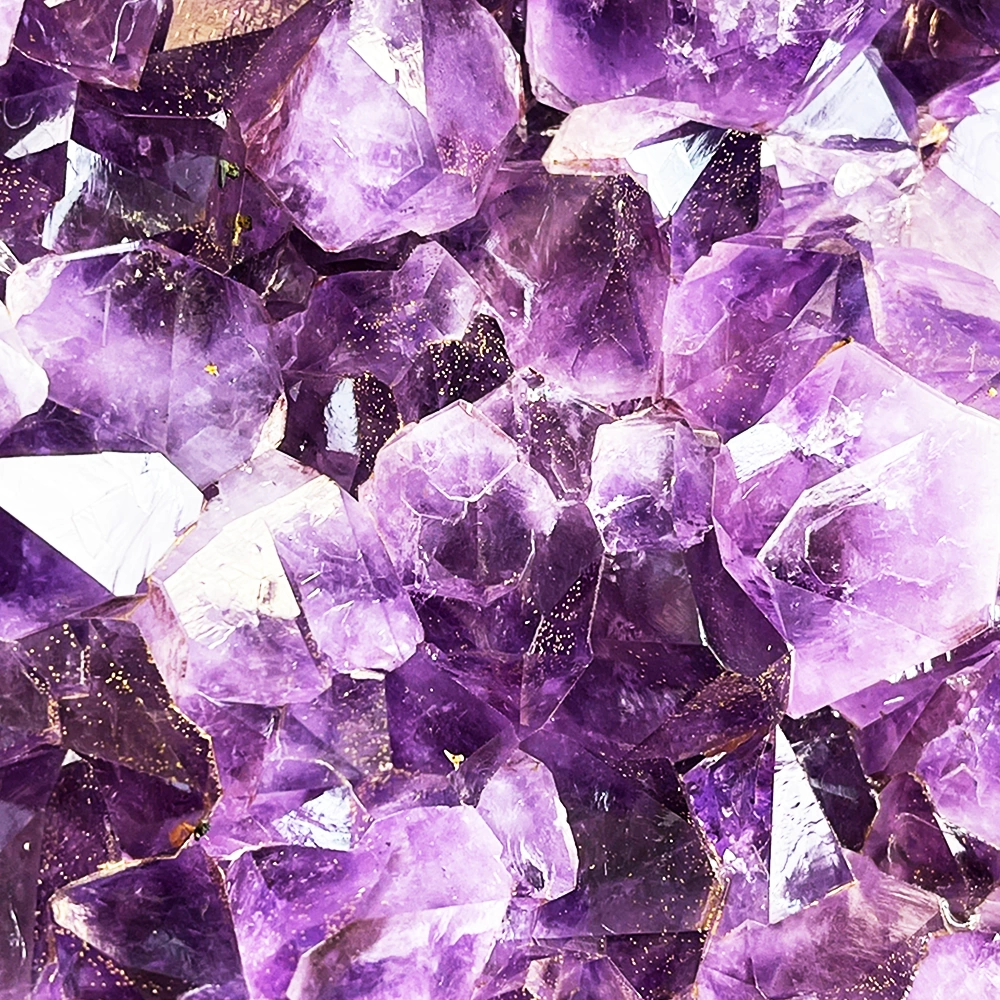 Amethyst Theme | Horse Life Wiki | Fandom