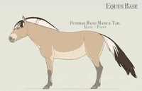 Equus | Horse Life Wiki | Fandom