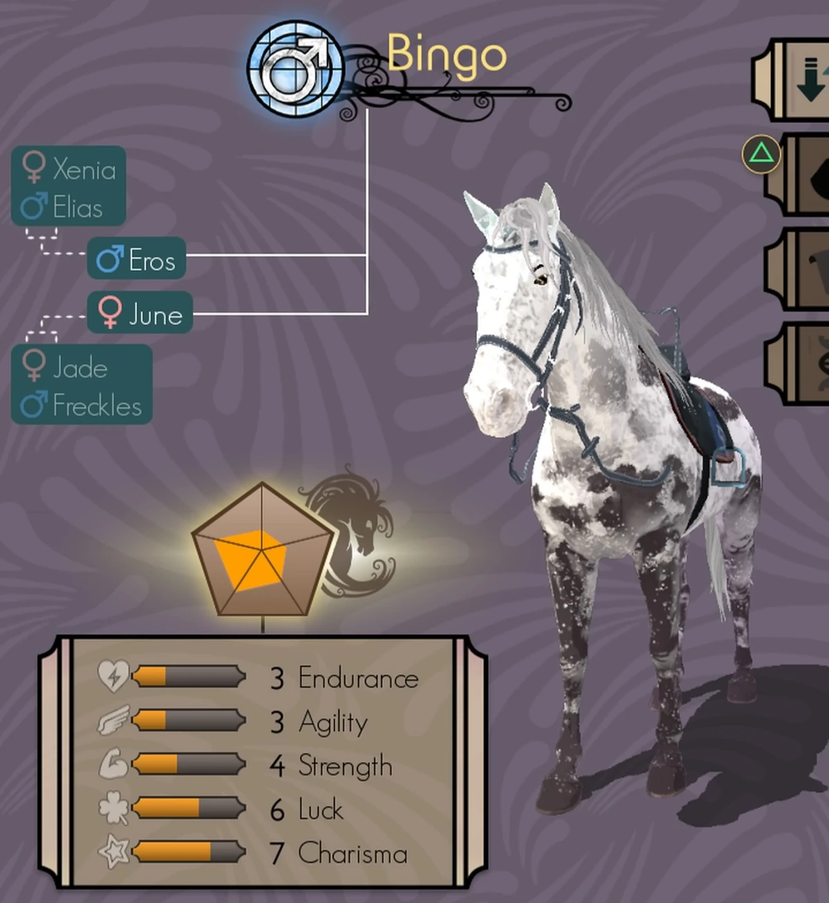 Bingo | Horse Tales: Emerald Valley Ranch Wiki | Fandom