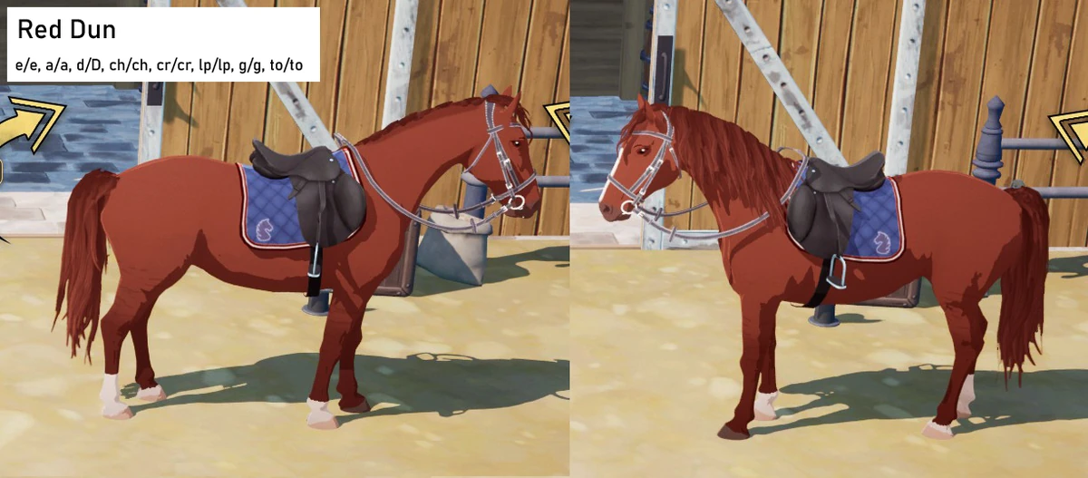 Red Dun | Horse Tales: Emerald Valley Ranch Wiki | Fandom