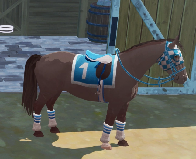 Sporty Tack Set | Horse Tales: Emerald Valley Ranch Wiki | Fandom