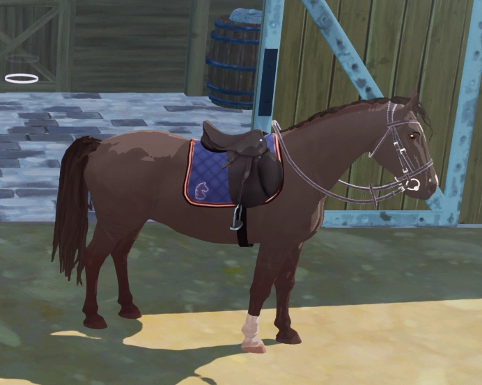 Black Leather Tack set | Horse Tales: Emerald Valley Ranch Wiki | Fandom