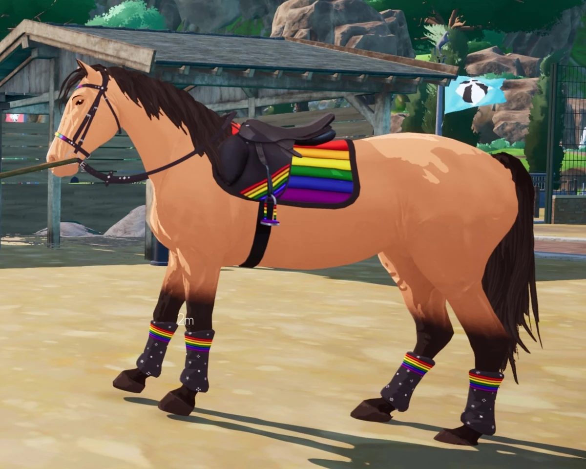 Rainbow Tack Set | Horse Tales: Emerald Valley Ranch Wiki | Fandom