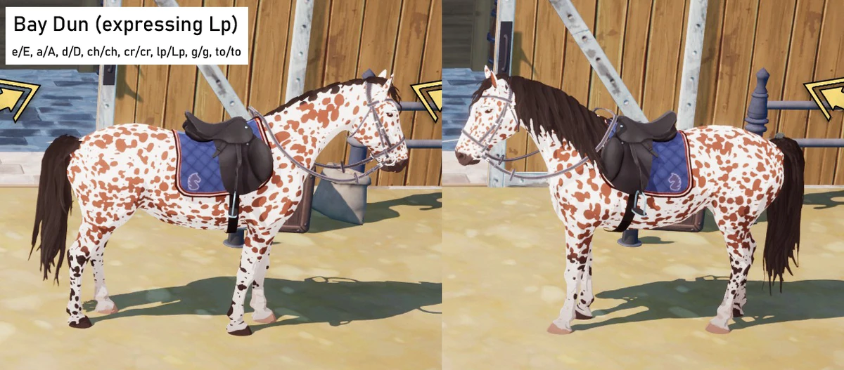 Bay (gene) | Horse Tales: Emerald Valley Ranch Wiki | Fandom