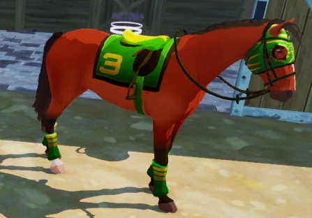 Lucha Libre Tack Set | Horse Tales: Emerald Valley Ranch Wiki | Fandom