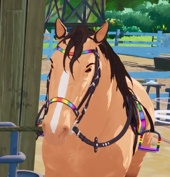 Rainbow Bridle | Horse Tales: Emerald Valley Ranch Wiki | Fandom