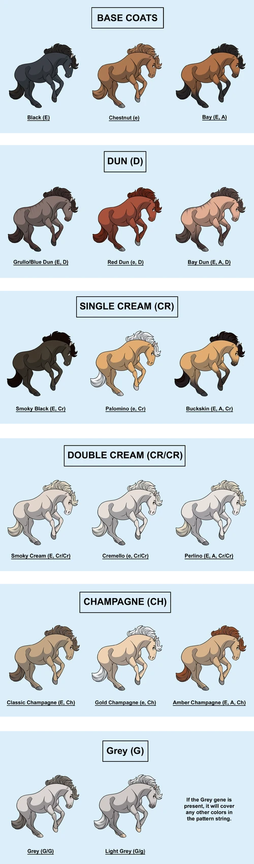 Genetics | Horse Tales: Emerald Valley Ranch Wiki | Fandom