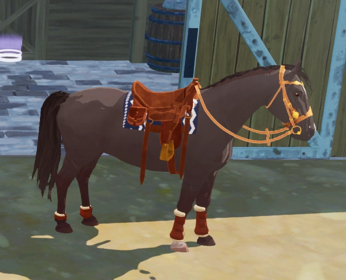Cowboy Tack Set | Horse Tales: Emerald Valley Ranch Wiki | Fandom
