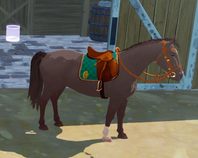 Brown Leather Tack Set | Horse Tales: Emerald Valley Ranch Wiki | Fandom