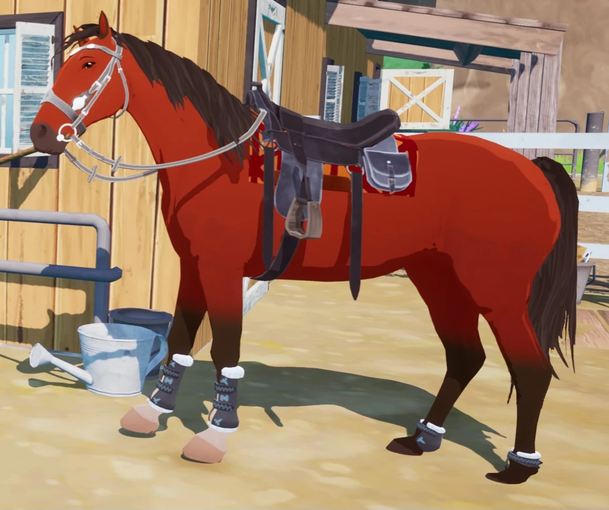 Western Tack Set | Horse Tales: Emerald Valley Ranch Wiki | Fandom